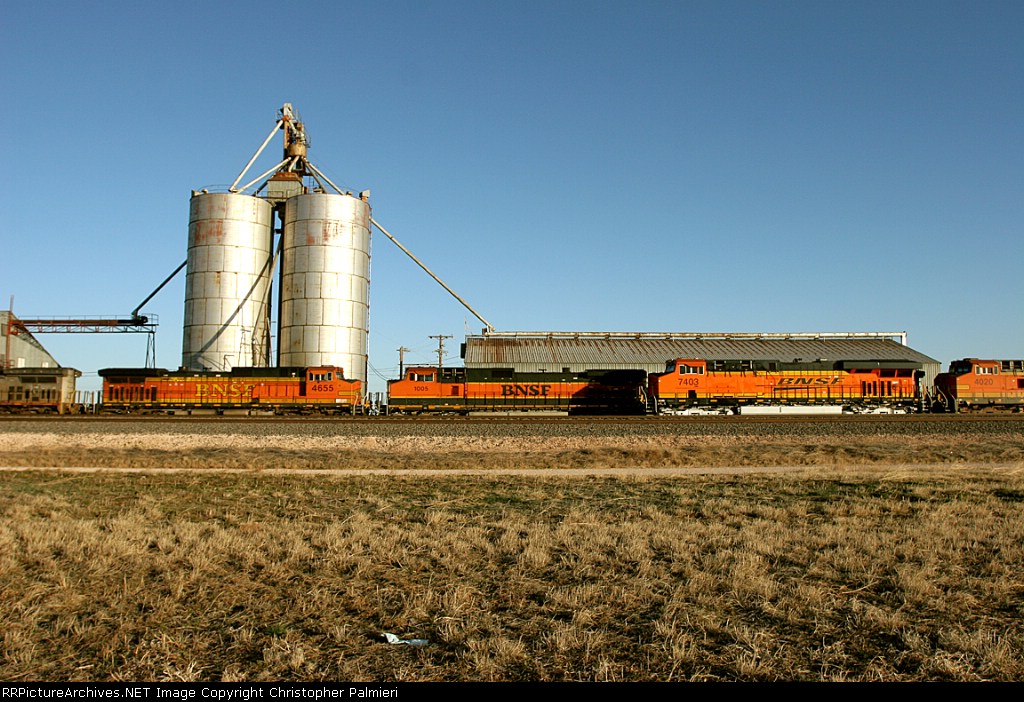 BNSF 4655, 1005, and 7403